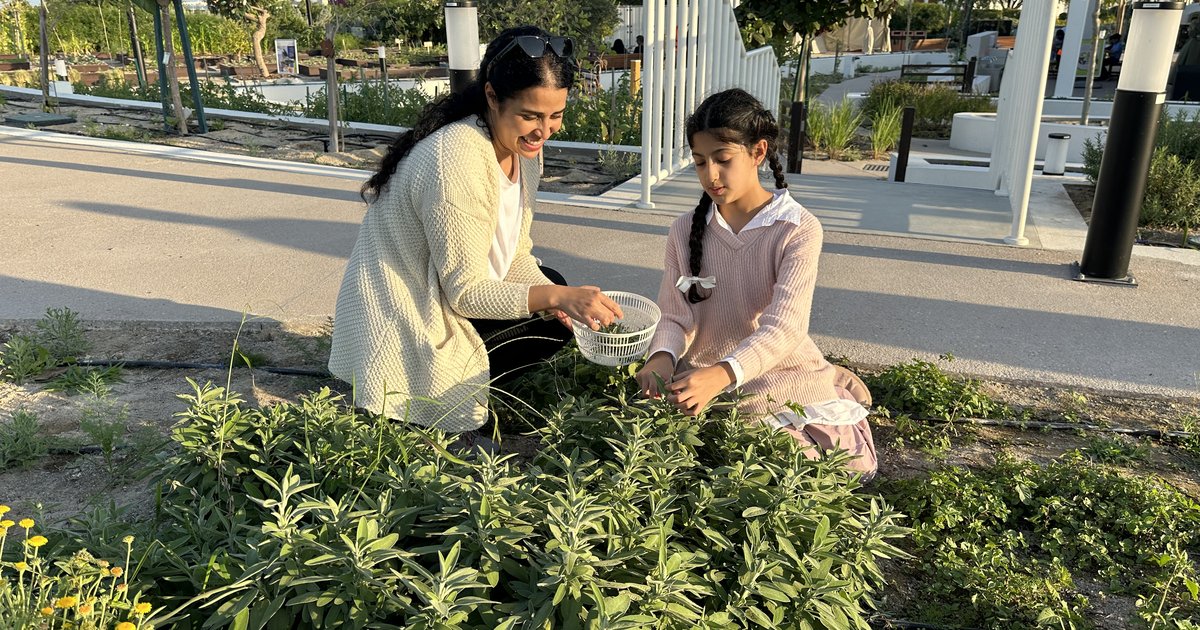 Dadu Public Programmes - Qatar Museums