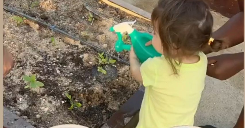 Dadu: Nature Playtime - Qatar Museums