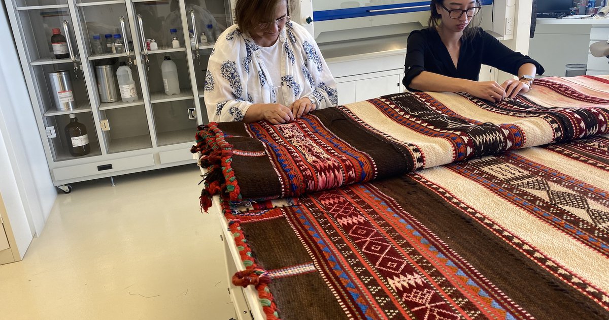 An introduction to the storage and handling of collections - NMOQ