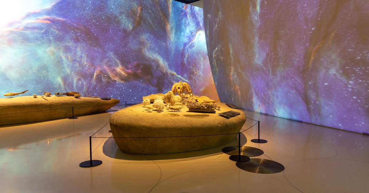 Geology of Qatar: Guided Tour in Arabic - NMOQ